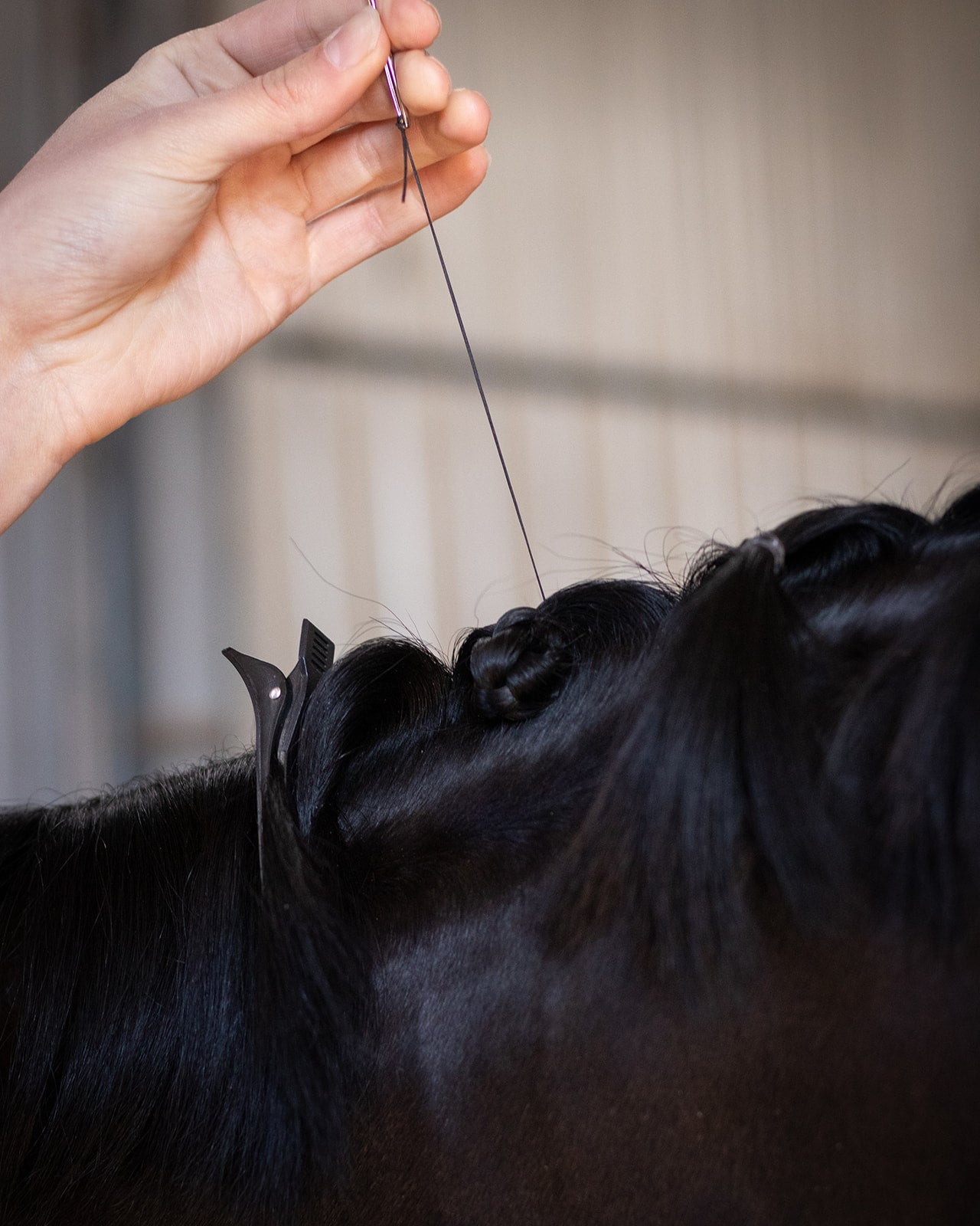 Plaiting – Marlborough Equestrian Barn